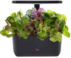 NutriSense: Automated Hydroponics Dosing System